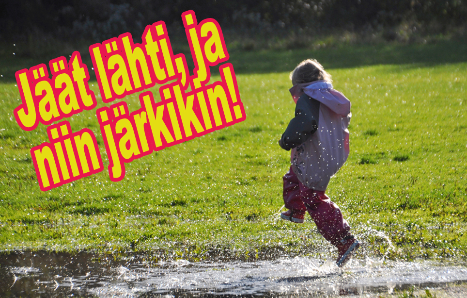 TÄSSÄ ON VIIKON HAUSKA KUVA - KATSO OLIKO SE SINUN!