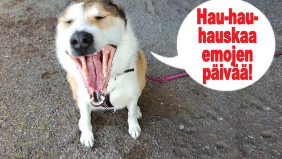 hauskat kuvat - Uutiset | Seiska