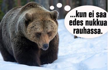 TÄSSÄ ON VIIKON HAUSKA KUVA - KATSO OLIKO SE SINUN!